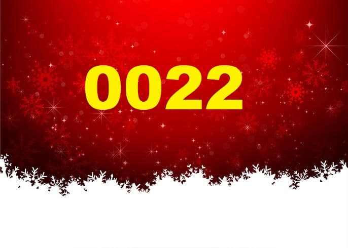 0022-Angel-Number-Significance-Meaning-in-Life- Angel Oasis