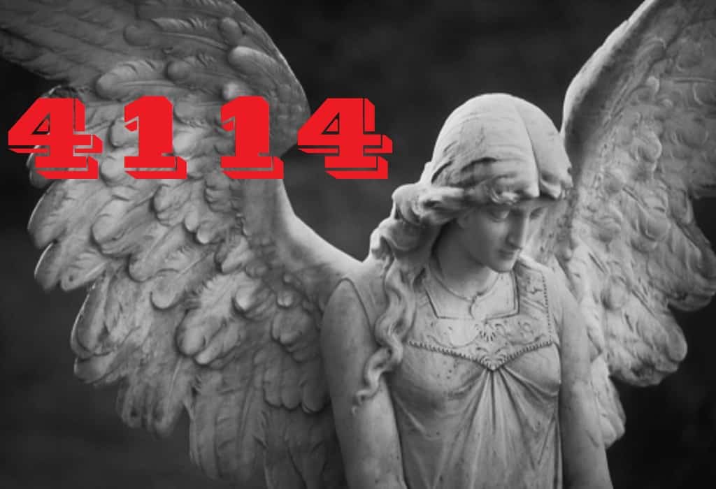 Angel Number -4114- Angel Oasis
