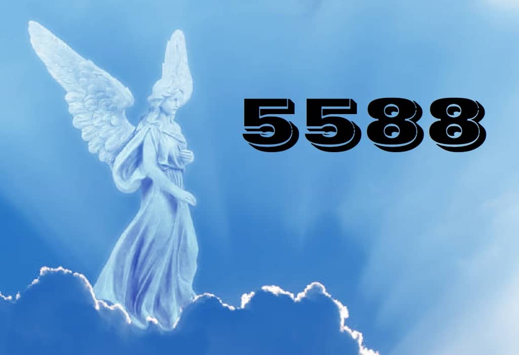 Angel Number -5588- Angel Oasis
