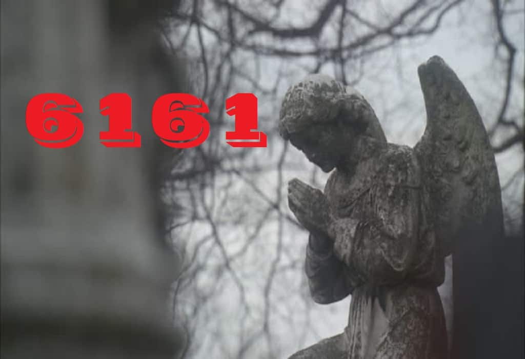 Angel Number -6161- Angel Oasis