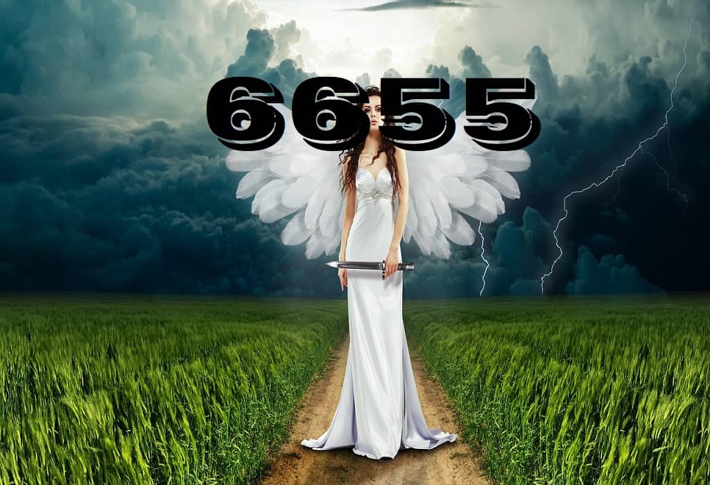 Angel Number -6655- Angel Oasis