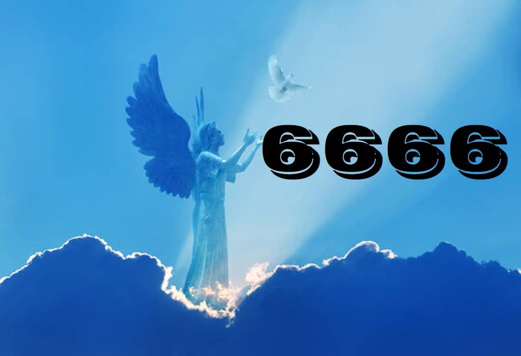Angel Number -6666- Angel Oasis