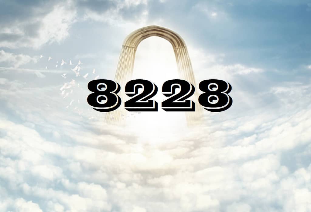 Angel Number -8228- Angel Oasis